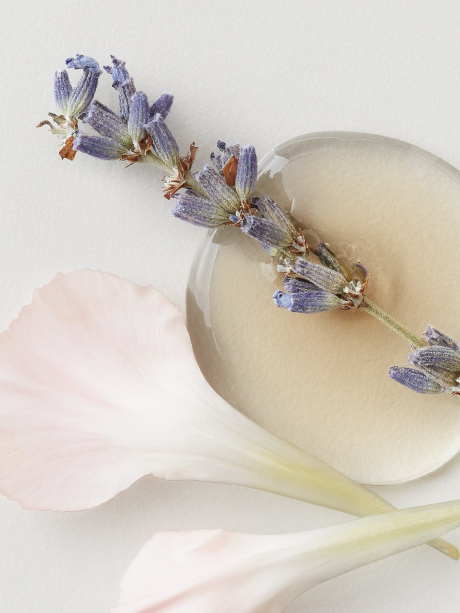 AG COLOUR SAVOUR: Colour Protecting Shampoo 10 oz